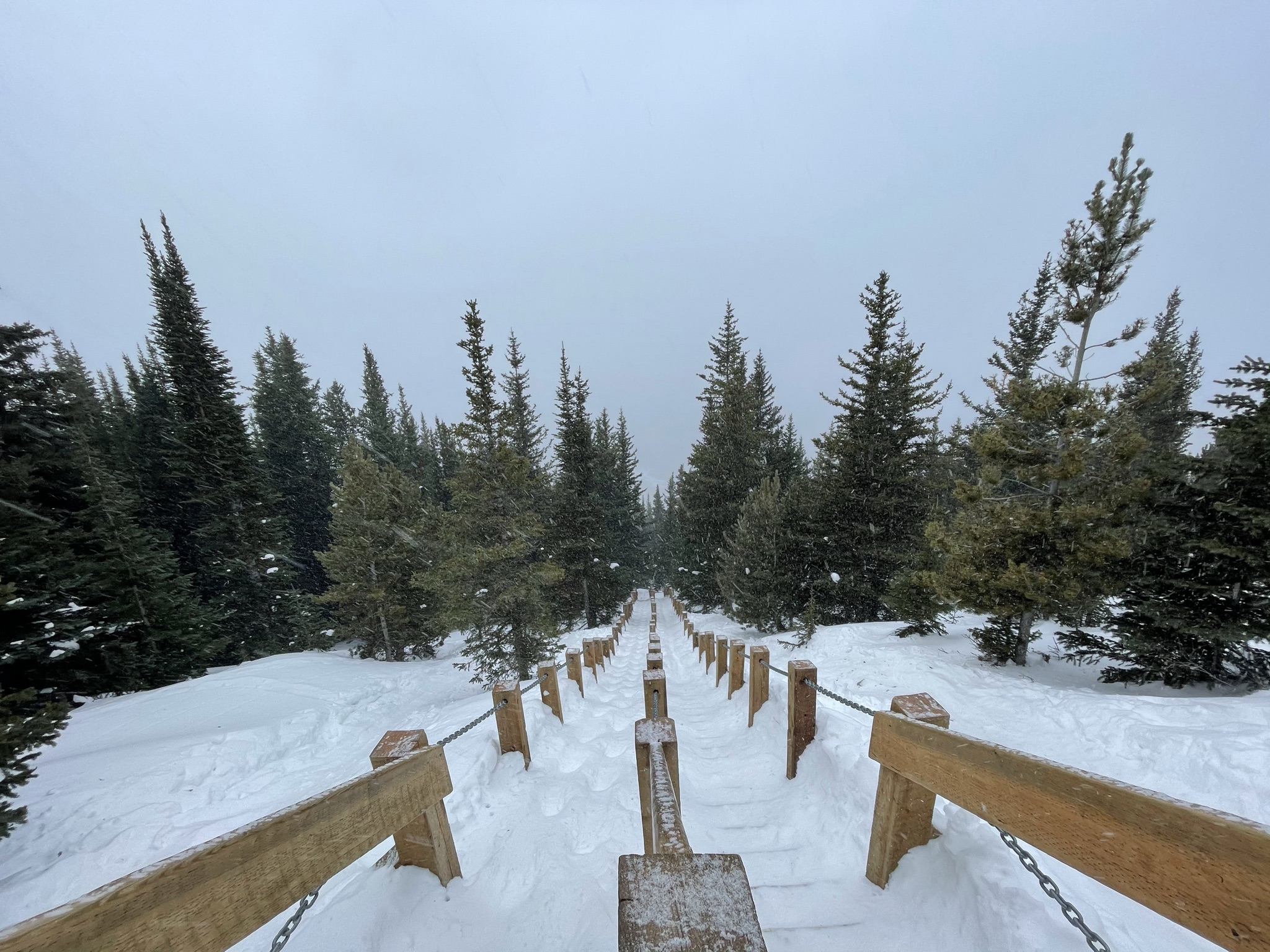 Ha Ling Peak: Everything You NEED To Know (2024) - Chasing Summits