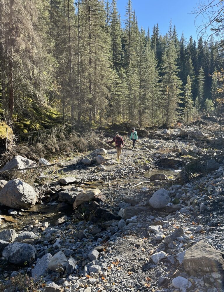 Middle Sister Hike Canmore (Complete Beginner’s Guide) - Chasing Summits