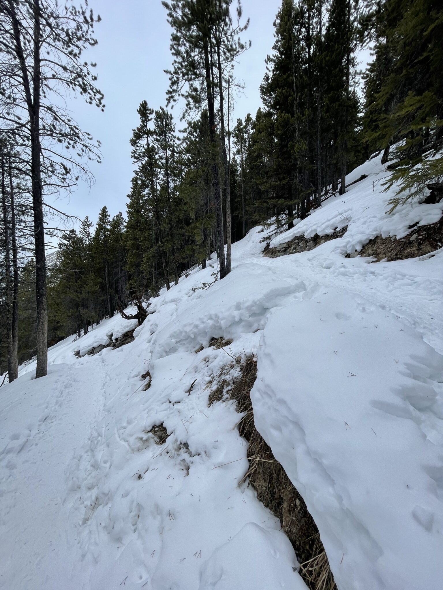 Ha Ling Peak: Everything You NEED To Know (2024) - Chasing Summits