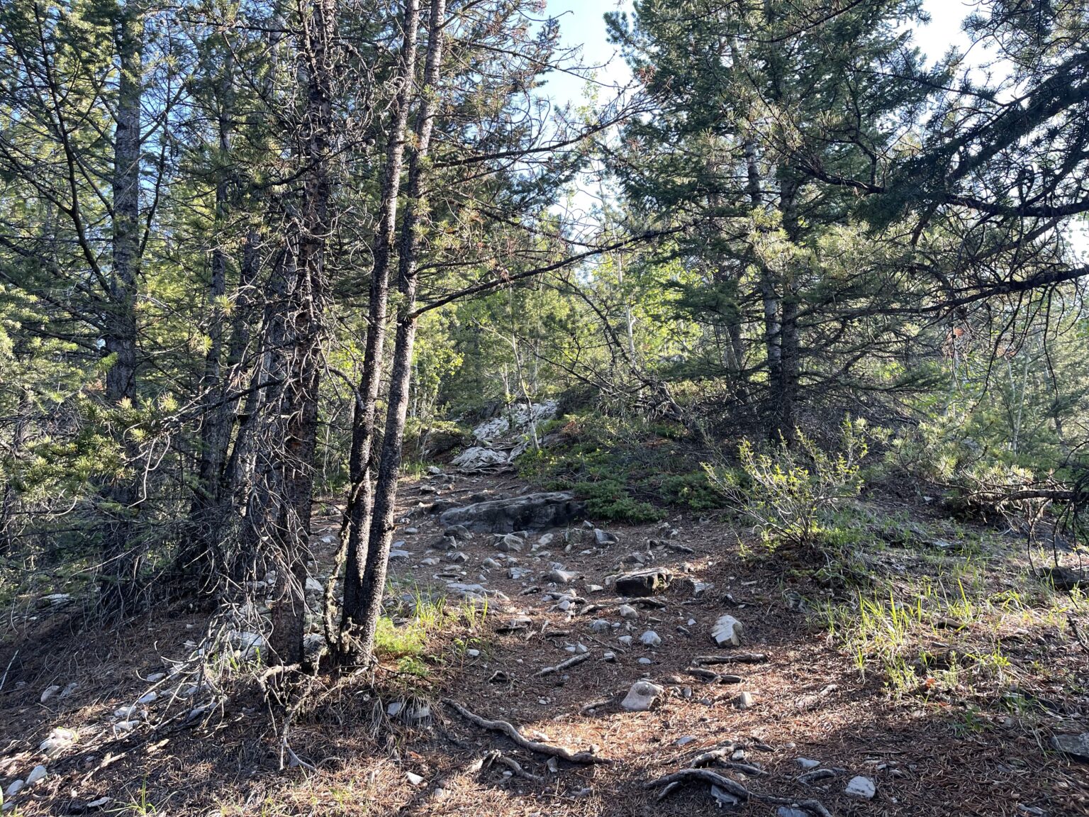 Mount Lady MacDonald – Complete Guide (Updated 2023) - Chasing Summits