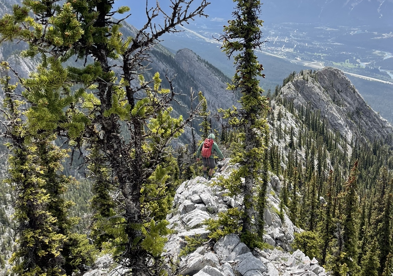 Princess Margaret Mountain in Canmore: A Complete Guide - Chasing Summits